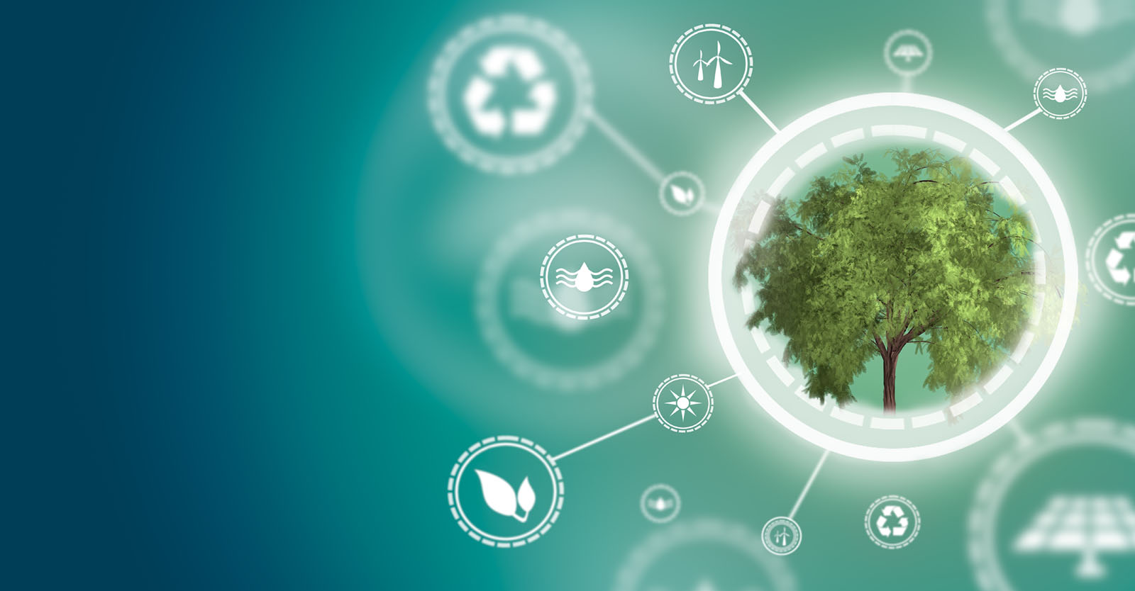 Sustainability Facts: Everything You Need to Know - Tamborasi Sustainability Facts: Everything You Need to Know - Tamborasi